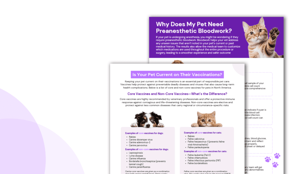 The Ultimate Client Education Content Pack: Handouts | PetDesk