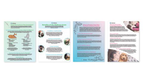 The Ultimate Client Education Content Pack: Handouts | PetDesk