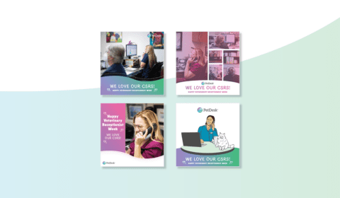 Veterinary Receptionist Week Social Posts | PetDesk