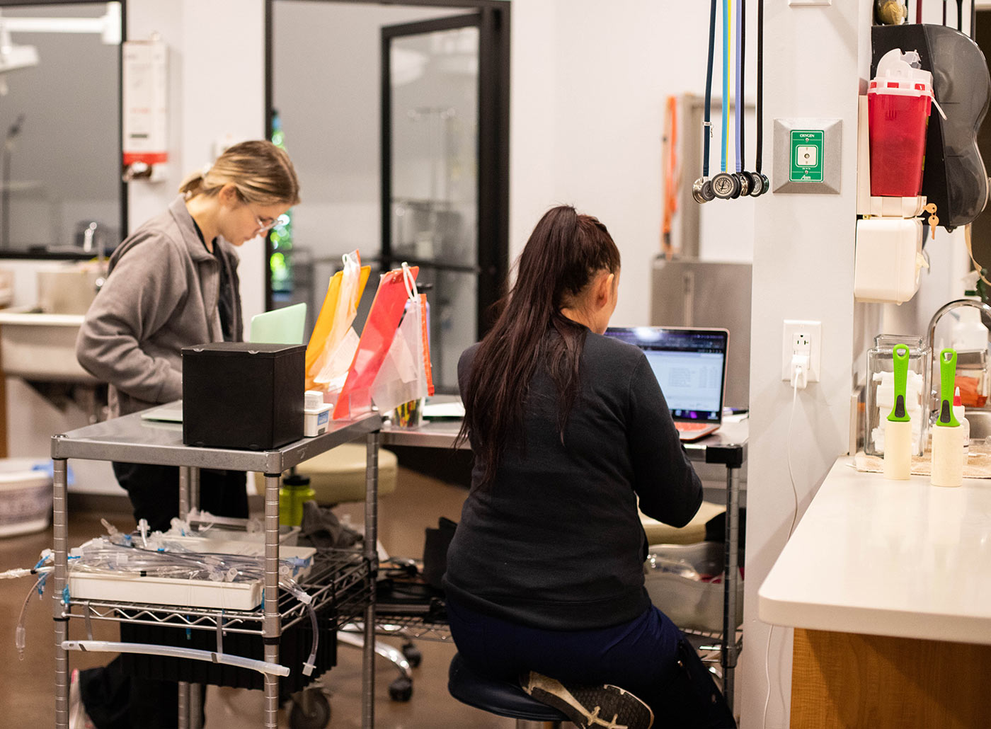 Loyalty And Rewards Terms Of Service | PetDesk