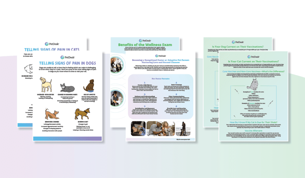 Pet Vitality Client Educational Handouts | PetDesk