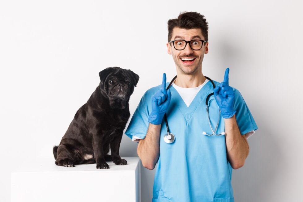 No Time To Waste: Becoming A Great Veterinary Triage CSR