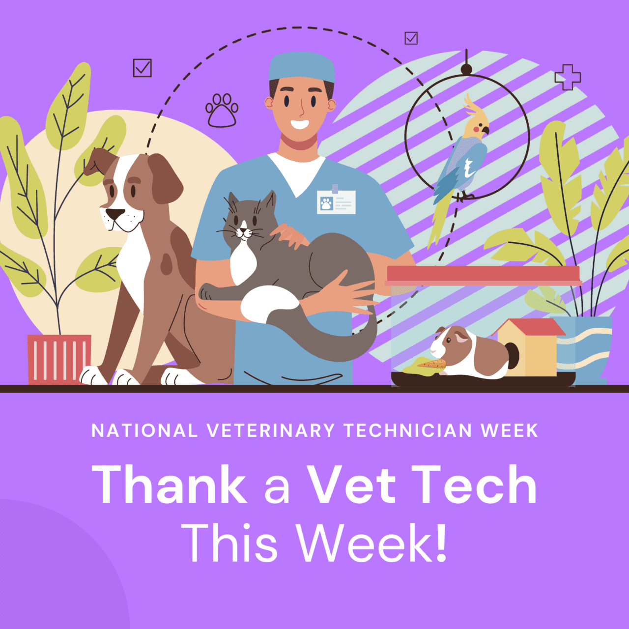 How To Celebrate Employees For Veterinary Technician Week