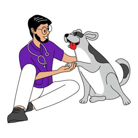 PetDesk Scribe: The Power Of AI Veterinary Note-taking