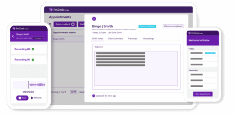 AI-Transcribed SOAP Notes Specifically For Veterinarians