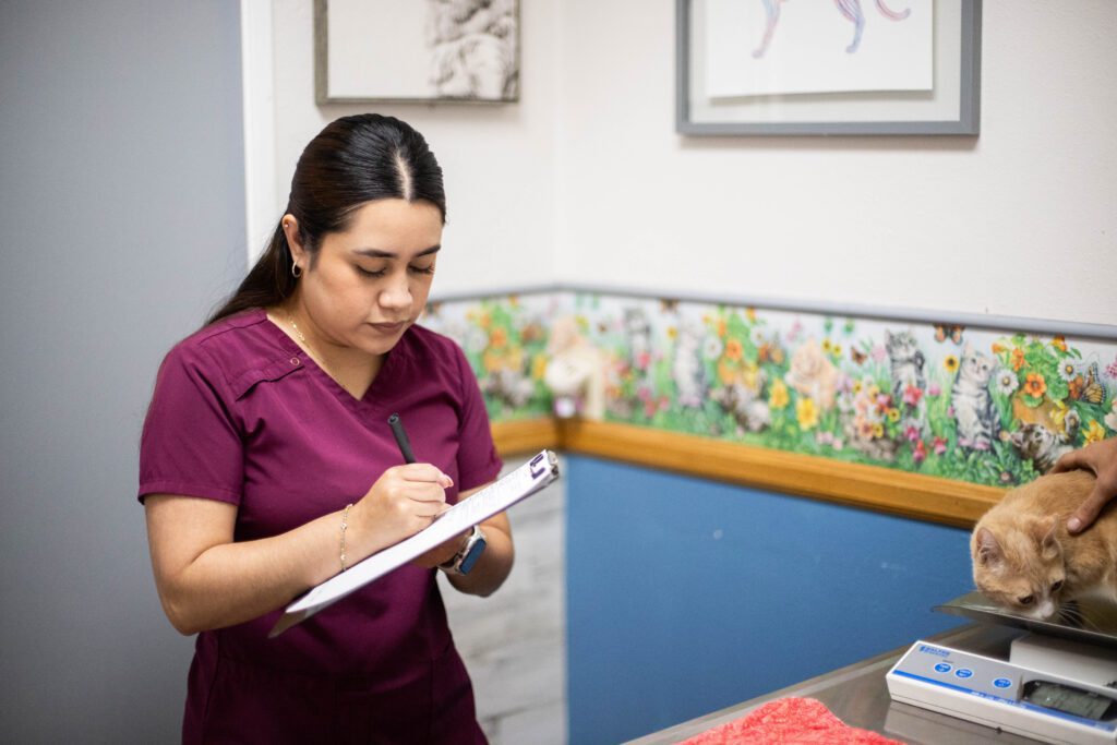 Seamless, Intuitive Charting With PetDesk Scribe